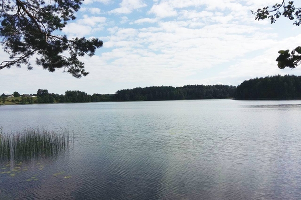 Rudesa | Molėtų turizmo ir verslo informacijos centras